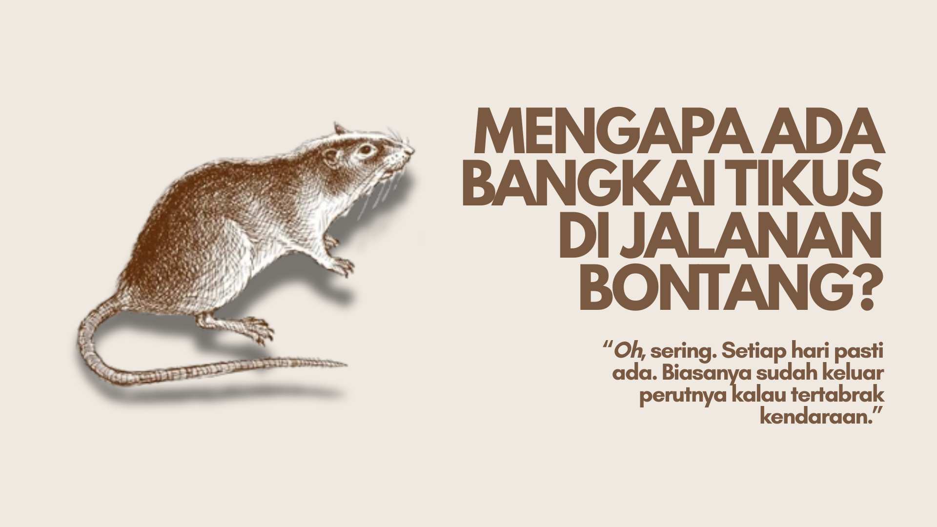 Bekesah - Mengapa Ada Bangkai Tikus di Jalanan Bontang?